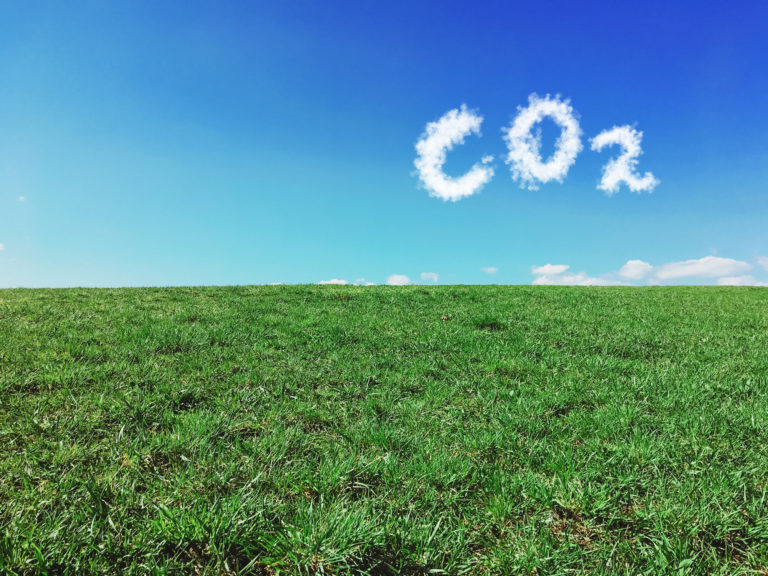 Net-Zero Asset Owner Alliance to 'advance work' on financing CO2 removal