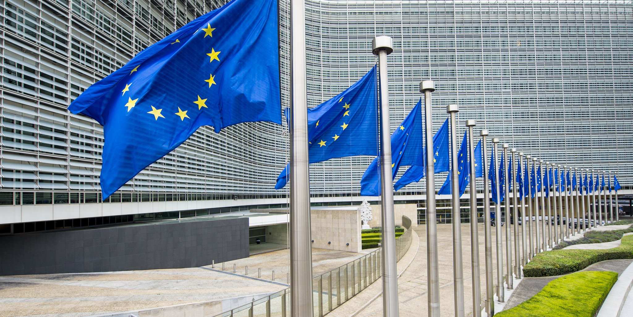 RI reveals names of new European Commission corporate governance expert ...