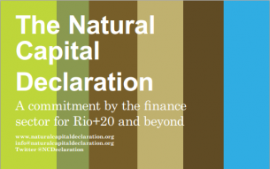 Natural Capital takes step forward with selection of two groups to ...