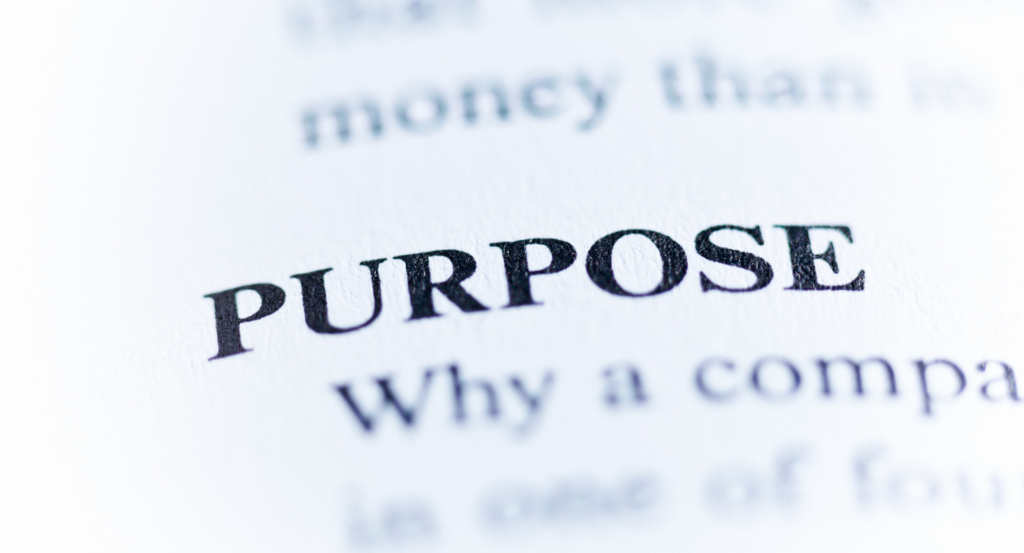 Hundreds of firms ranked on corporate purpose as heavy-hitting investor ...