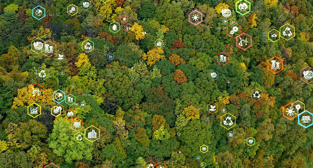 SBTi adds land-based metrics to target-setting framework