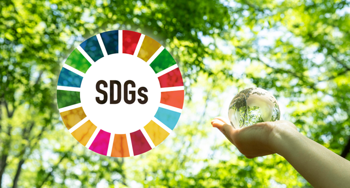SDG-washing 'a big issue', says director of UN SDG investing initiative