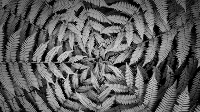 Transparency in ESG: addressing common challenges