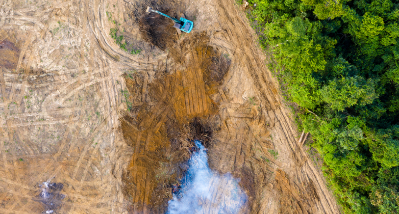 Letter from Brazil: Meeting net zero and eliminating deforestation
