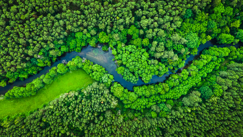 First Brazilian green taxonomy faces uncertain implementation