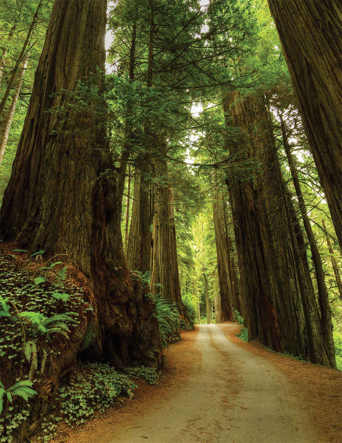 RBC approach to climate change | Responsible Investor