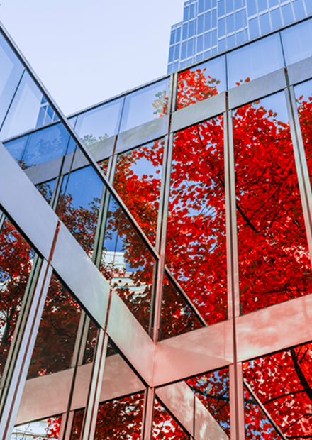 Annual sustainable and responsible investing report | Responsible Investor