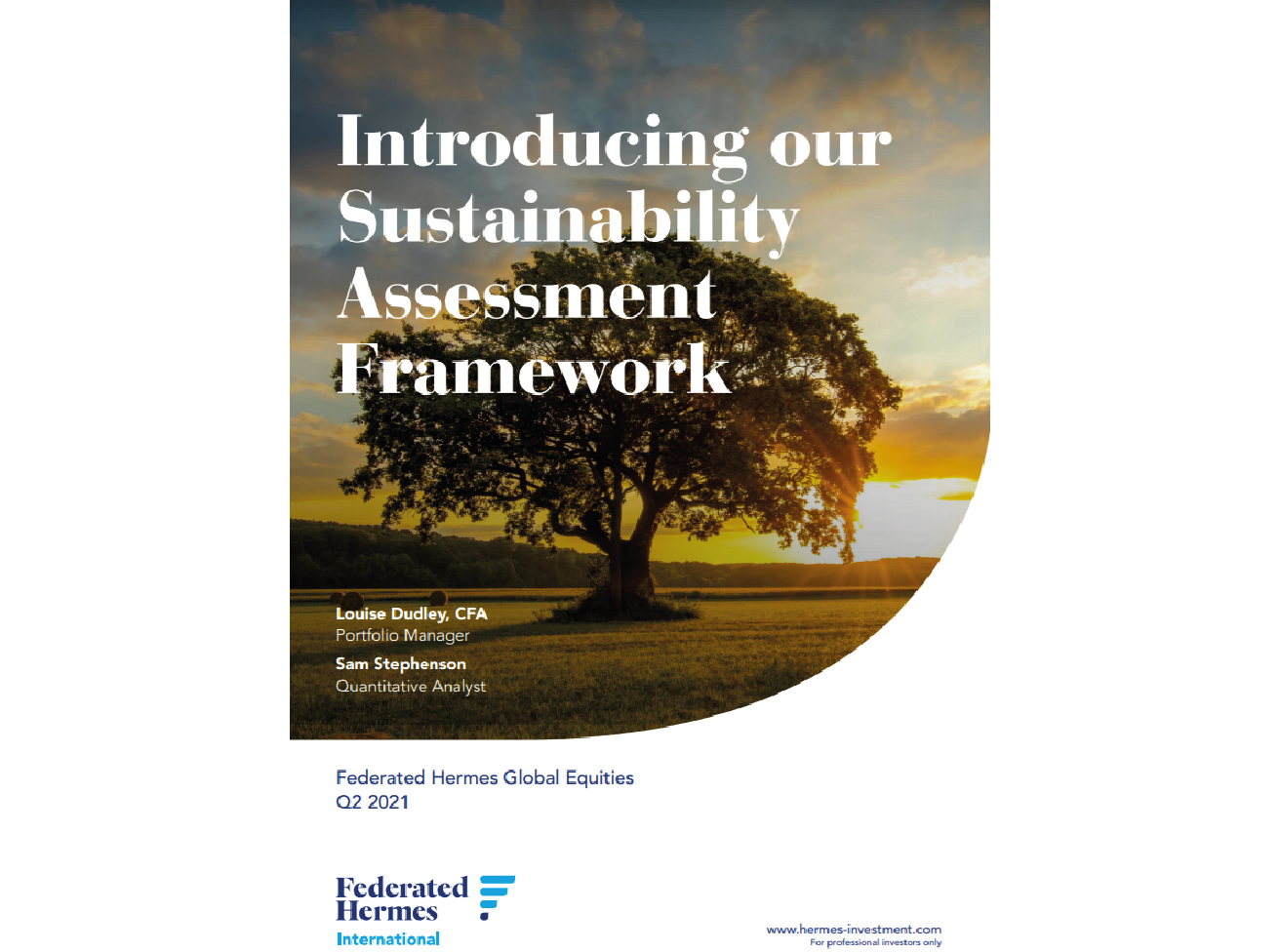 Introducing our Sustainability Assessment Framework | Responsible Investor