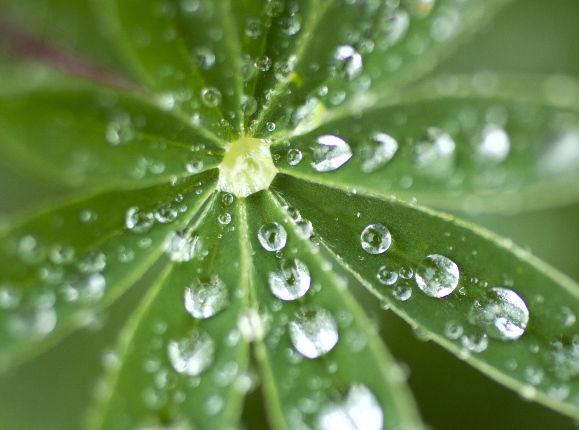 Impax Asset Management | Responsible Investor