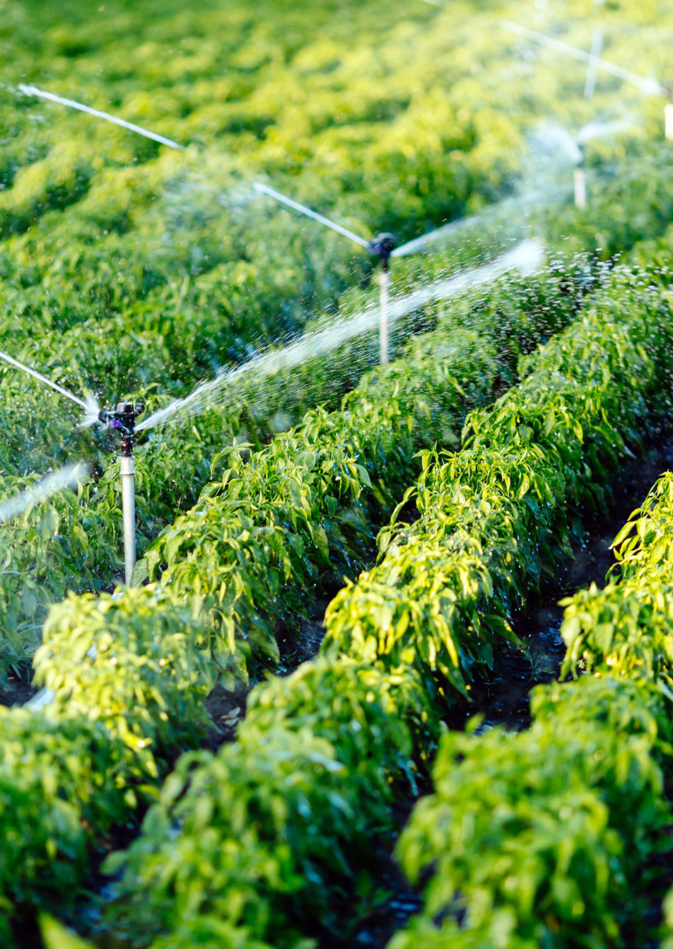 Water: From a systemic and unpriced risk to a measurable opportunity ...