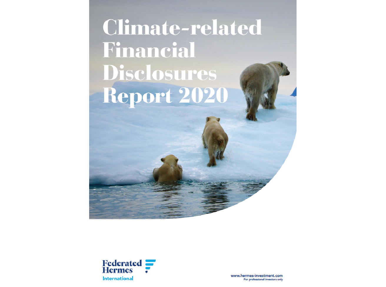 2020 TCFD report: our climate-related financial disclosures ...