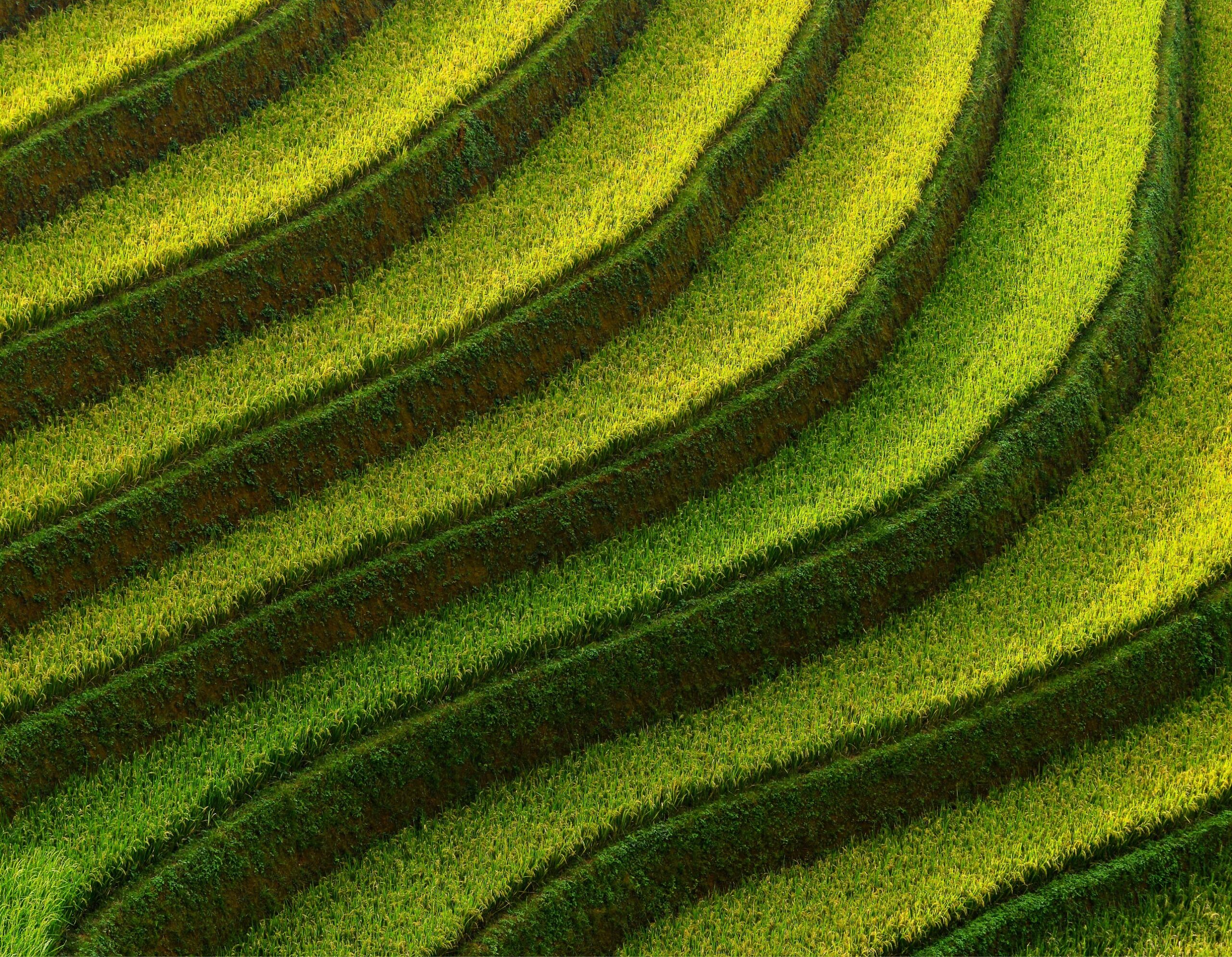 Trucost Sovereign Data | Responsible Investor