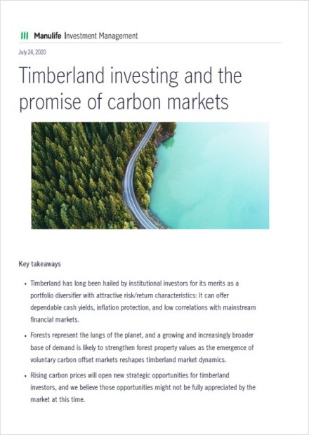 Timberland investing and the promise of carbon markets | Responsible ...