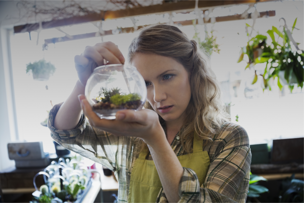 Triodos Multi Impact Fund | Responsible Investor