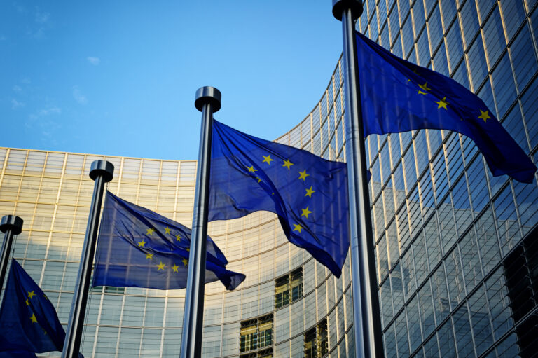 EU standards body targeting Q2 2025 for transition plan guidance release