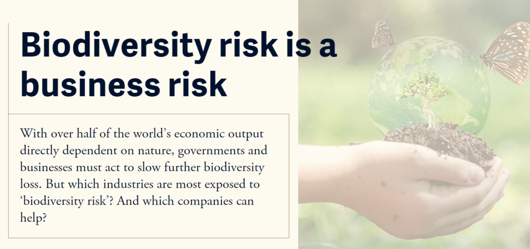 Biodiversity risk is a business risk | Responsible Investor