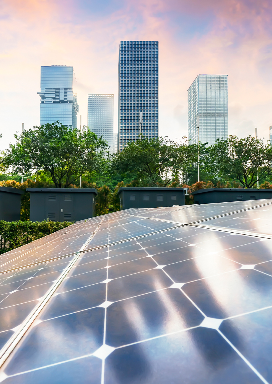 Environmental Markets: why they’re needed and how they work ...