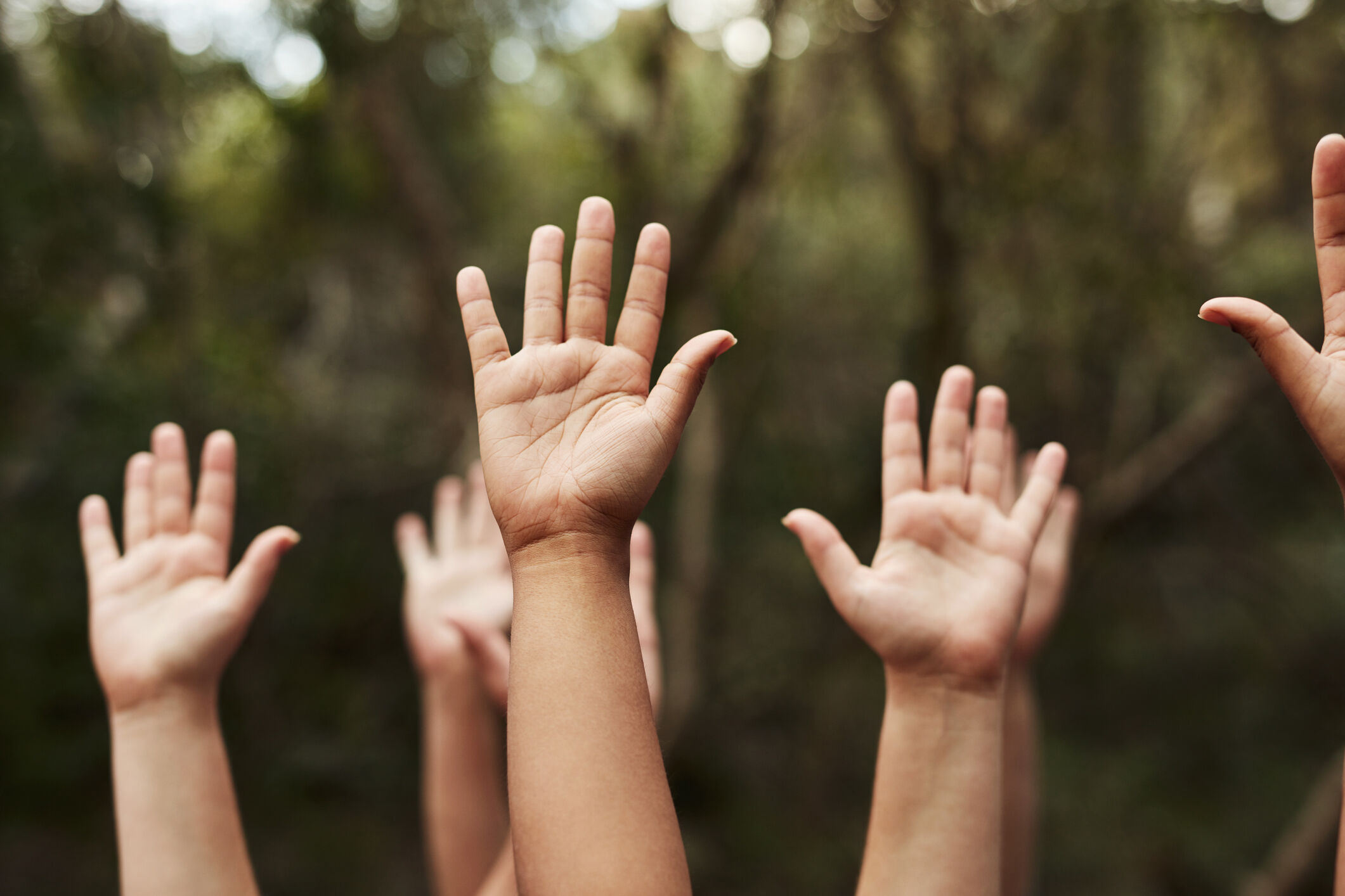 RI survey: Investors reveal Nature Action 100 engagement plans