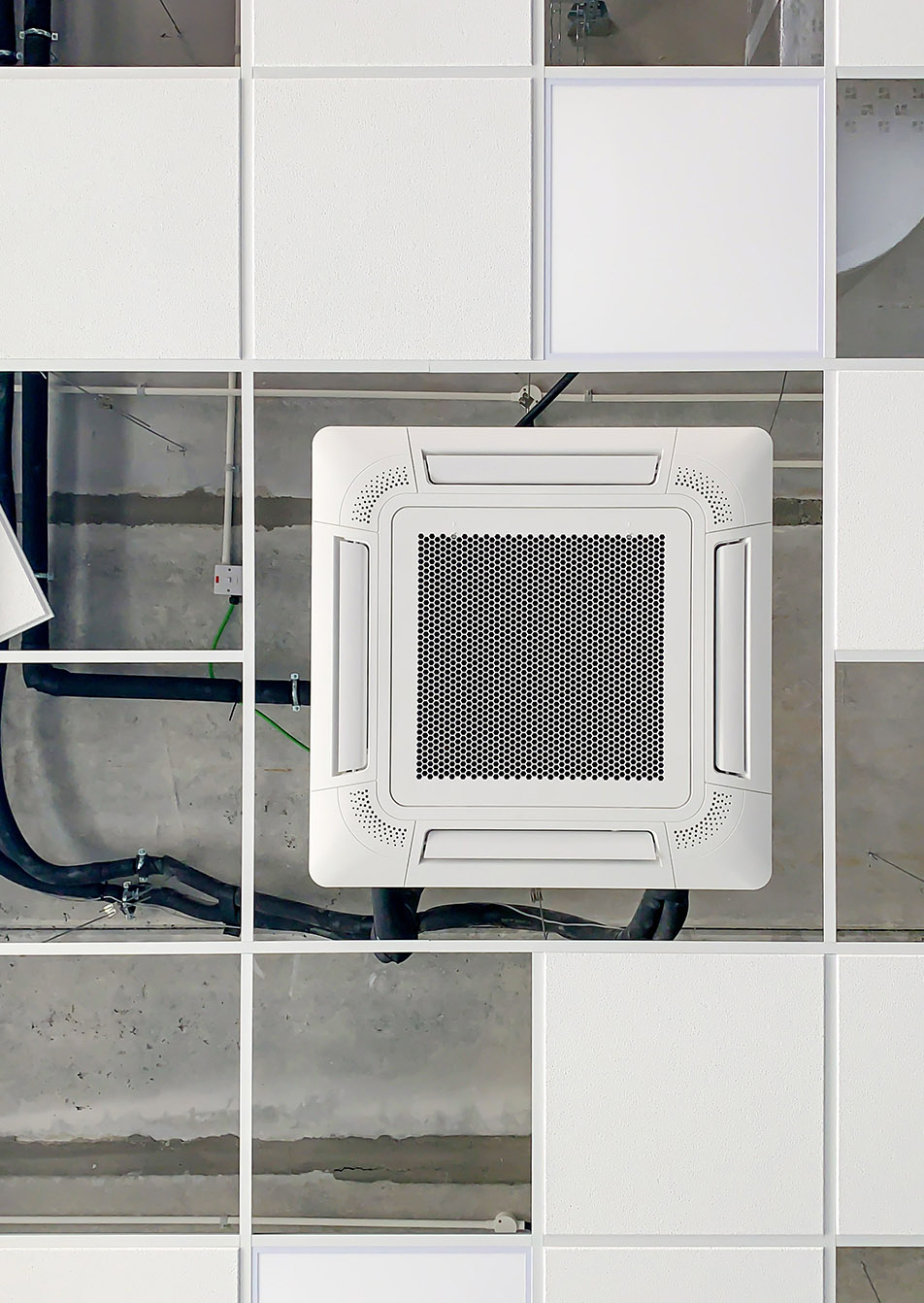 My Christmas wish list for COP28 | Responsible Investor