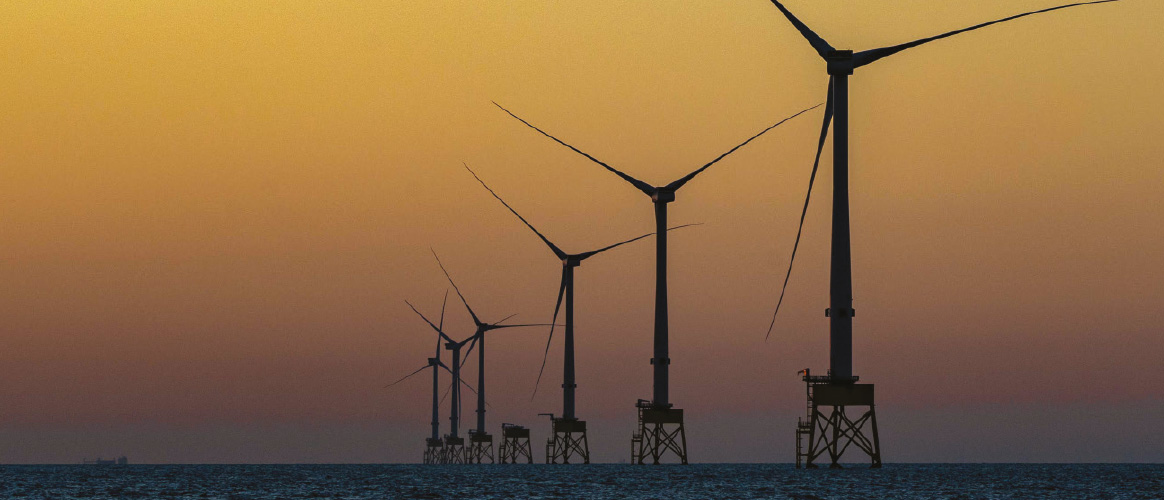 Government action should make engagement ‘obsolete’, says NZAOA chair