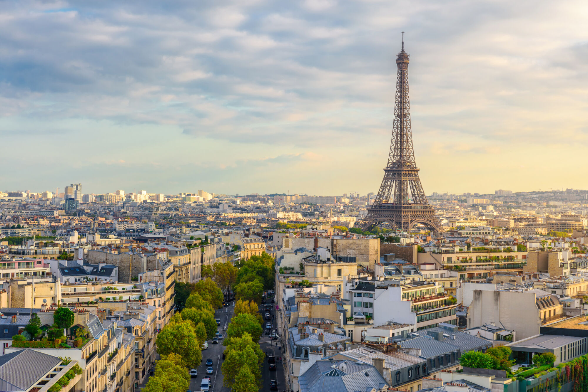 French investors split over way forward for SFDR product categories