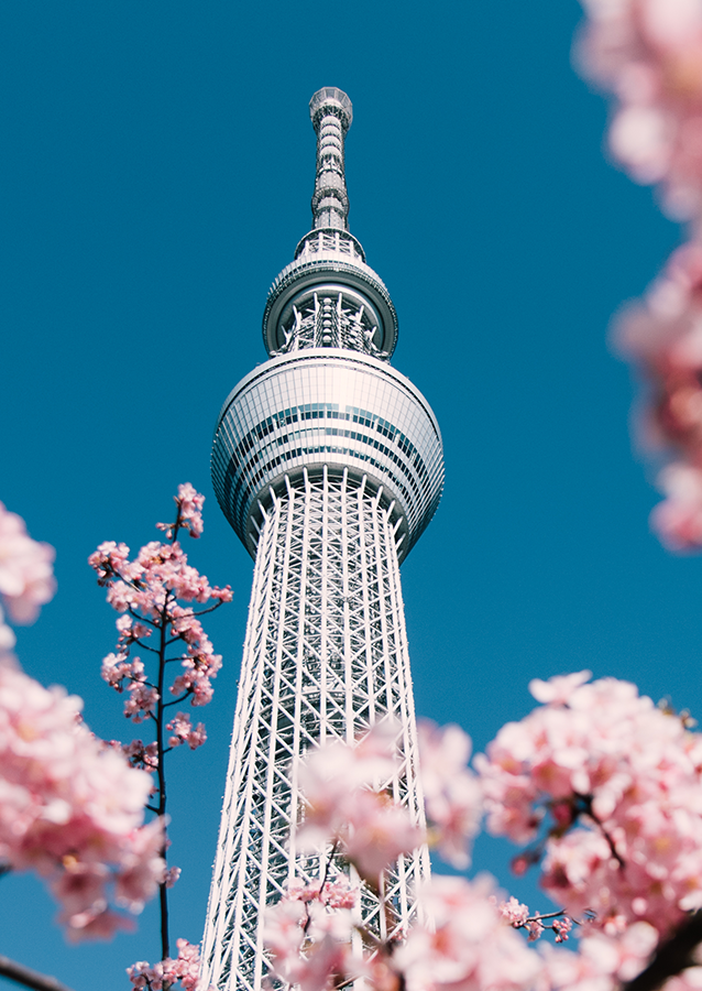 Systematic stewardship in action: Gender diversity in Japan ...