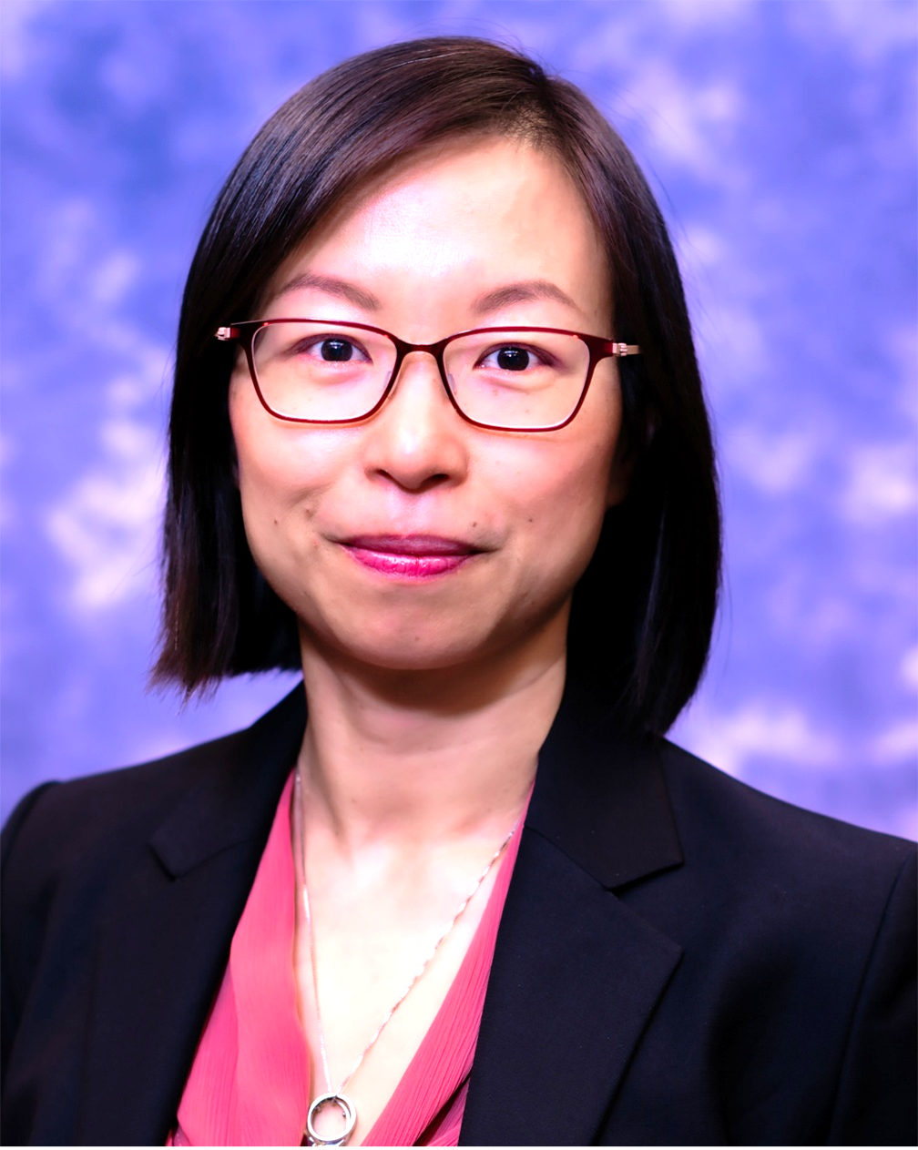 Comment: The blind men and the climate scenario elephant