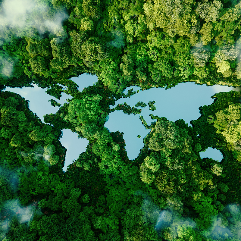 Climate and Investors | Responsible Investor